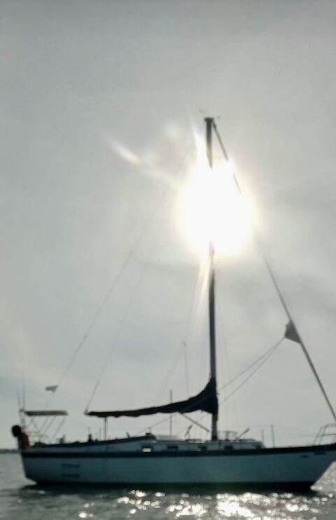 BOLO SV THROWING CRACKERS Key West to Isla Mujeres | Boat Watch ...