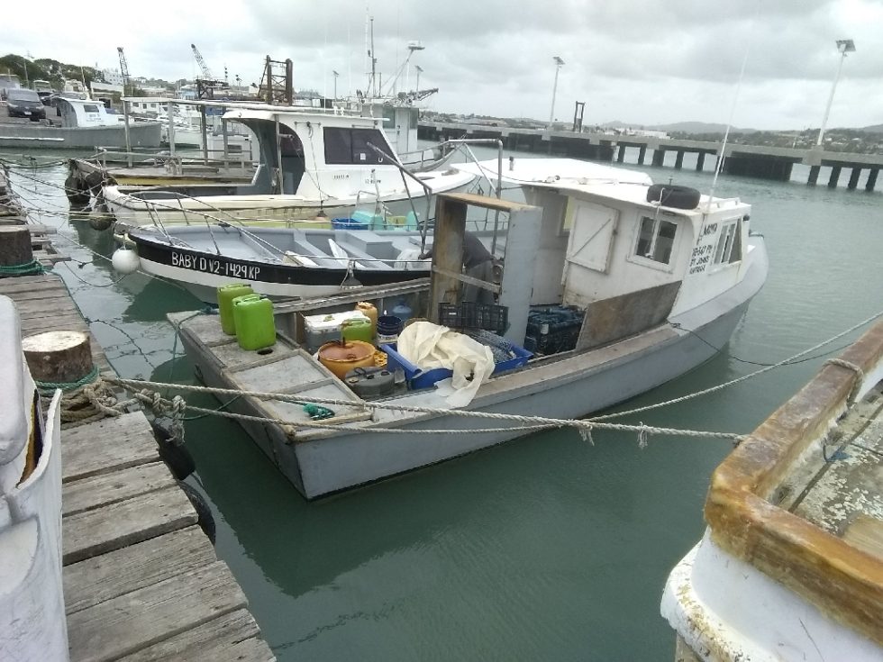 BOLO for FV MOYA Antiqua Eastern Caribbean | Boat Watch, International ...